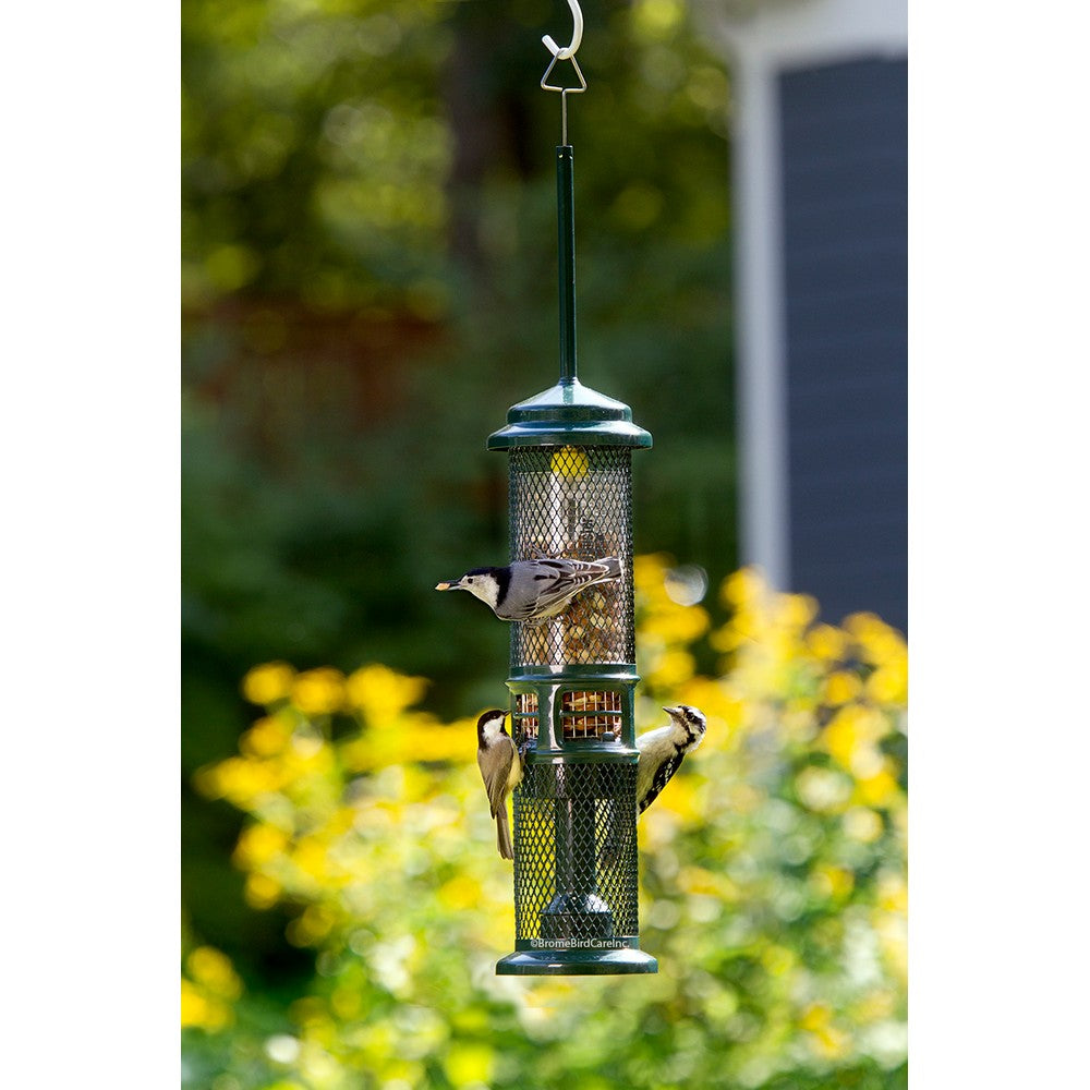 Brome BD1053 Squirrel Buster Peanut Feeder – Squirrel-Proof ...
