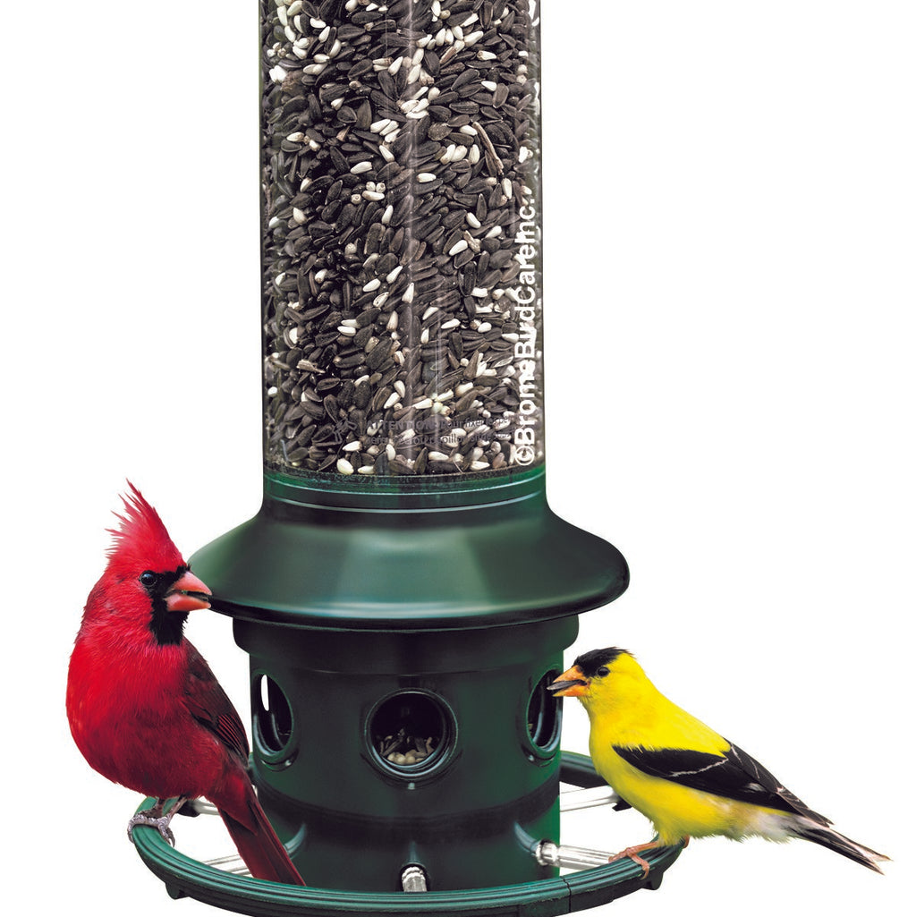 Backyard Birding Store | Shop Backyard Bird & Wild Bird Products ...