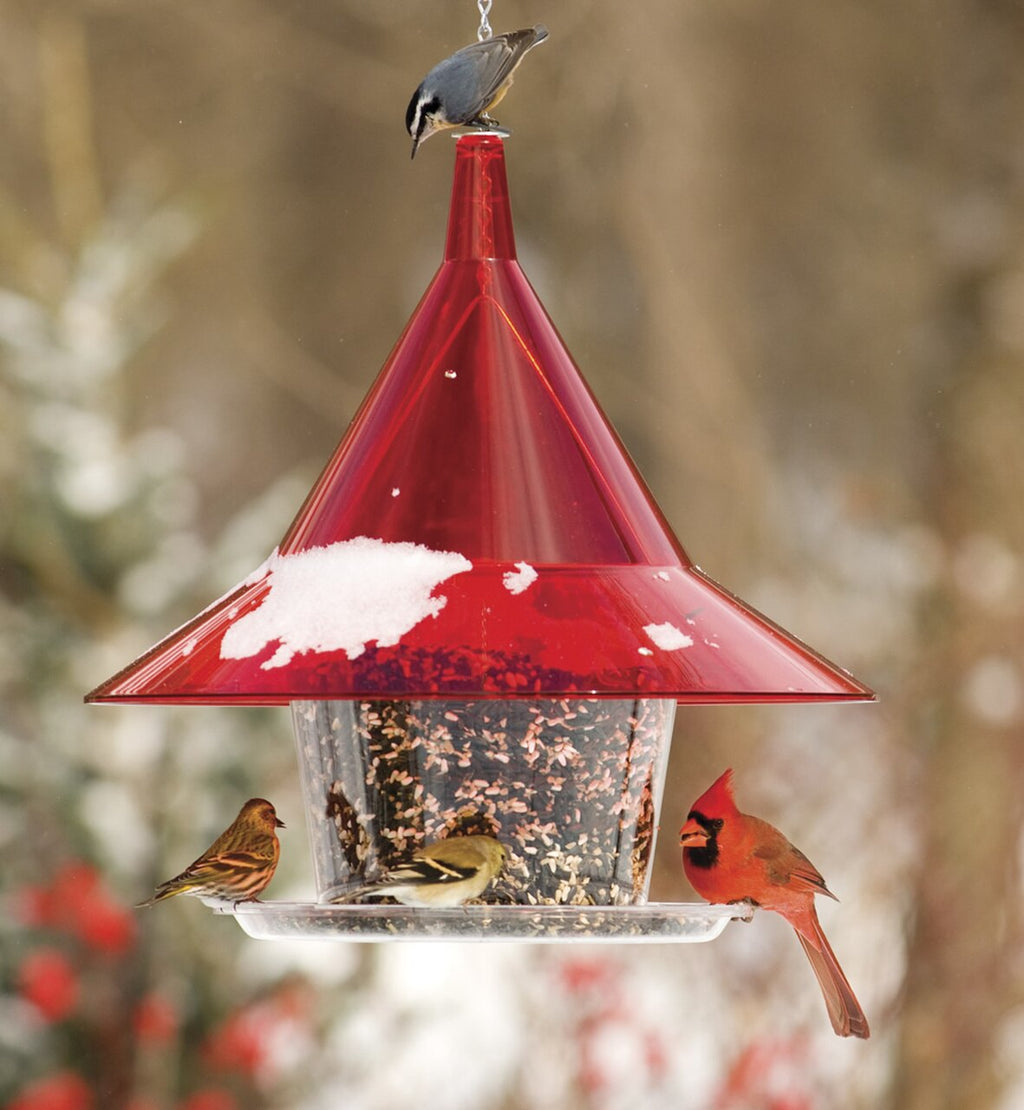 Backyard Birding Store | Shop Backyard Bird & Wild Bird Products ...