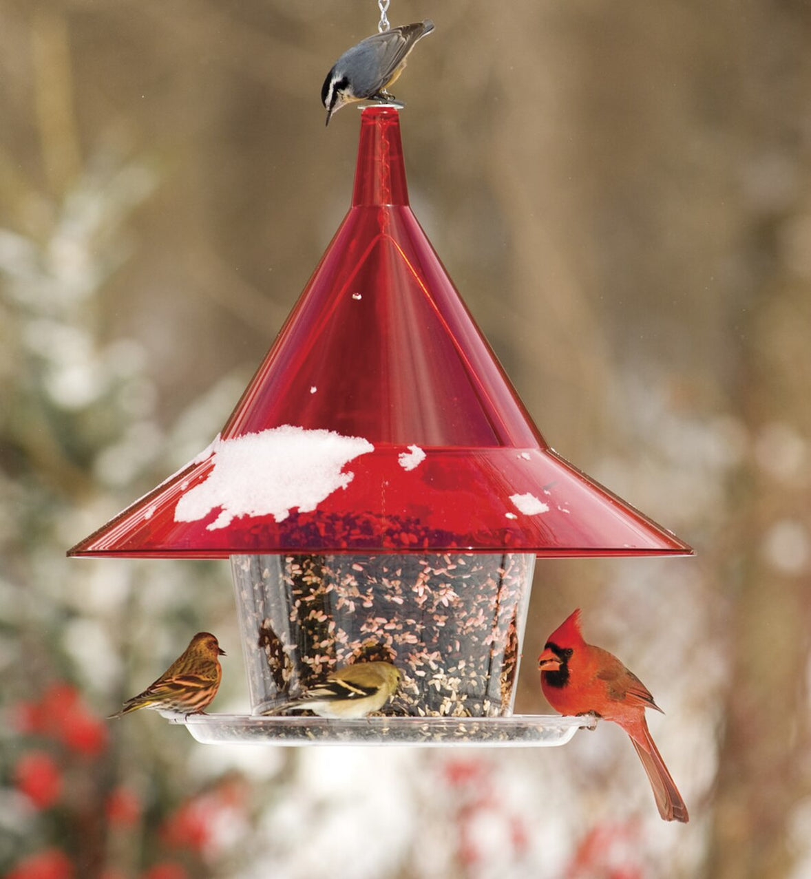 Backyard Birding Store | Shop Backyard Bird & Wild Bird Products ...