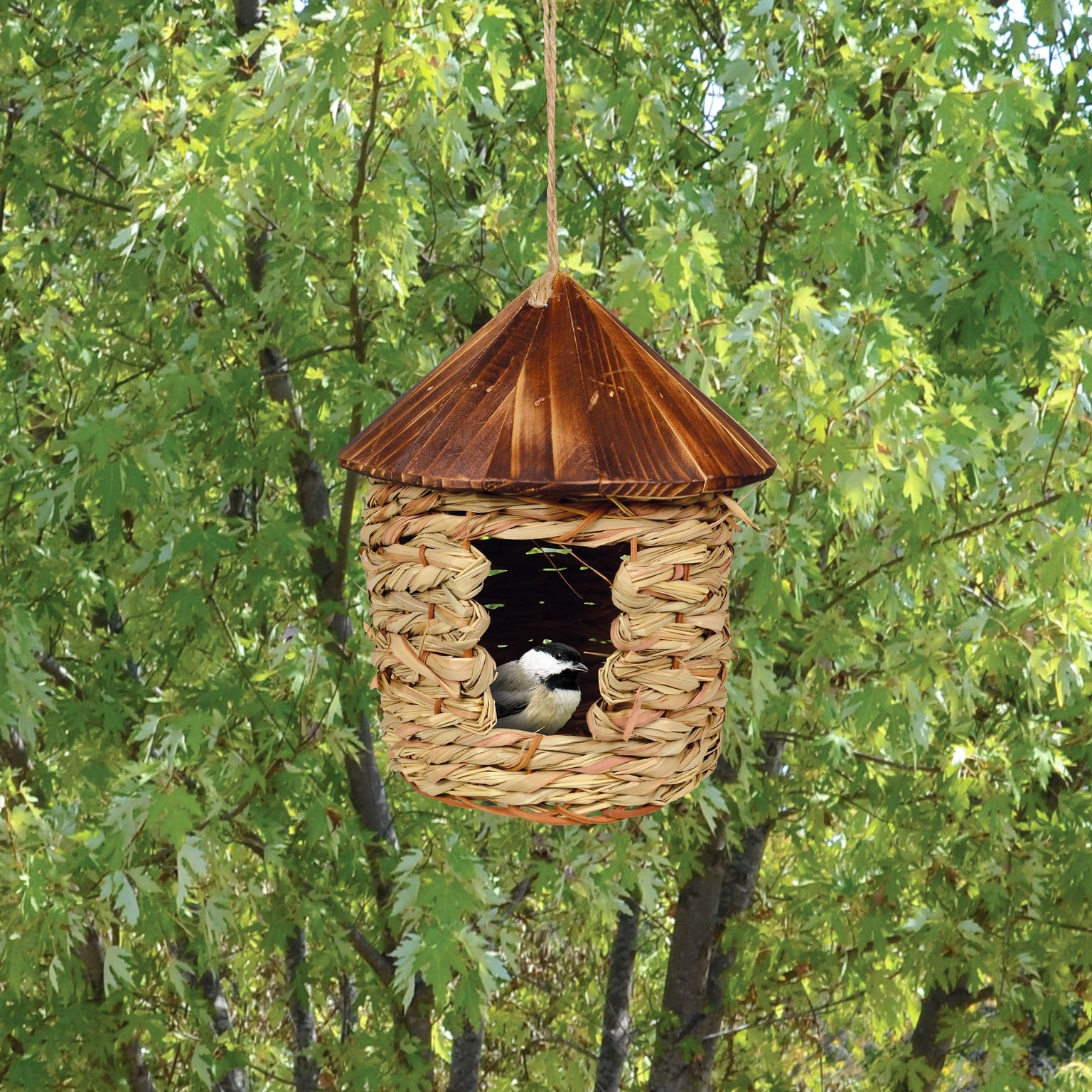 Bird Houses for Sale | View Our Selection of Beautiful Outdoor ...