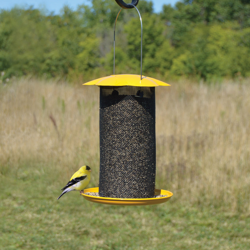 Finch Feeders — Birdertown