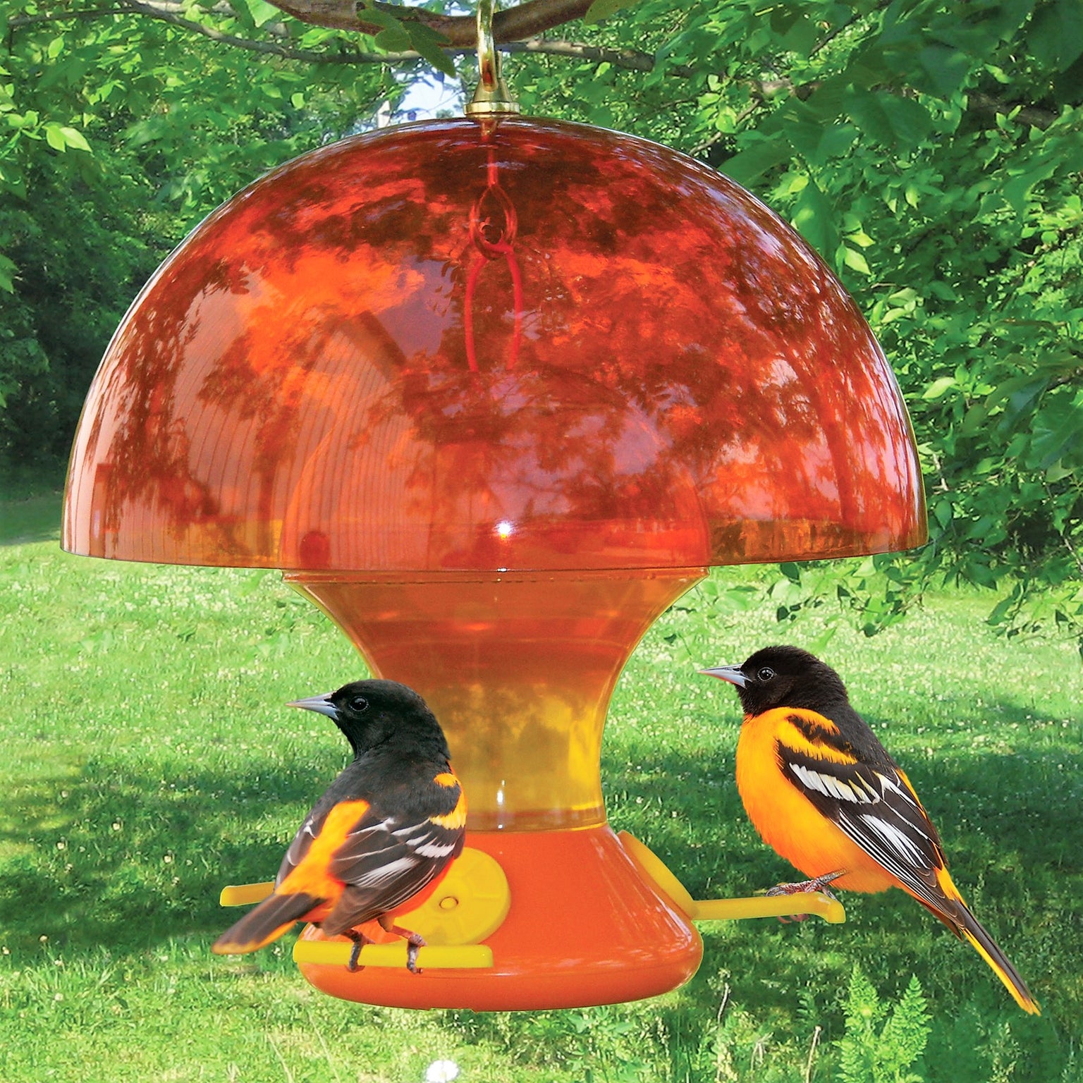 Baffles for Bird Feeders | Shop for Bird Feeder Baffles & Domes at ...