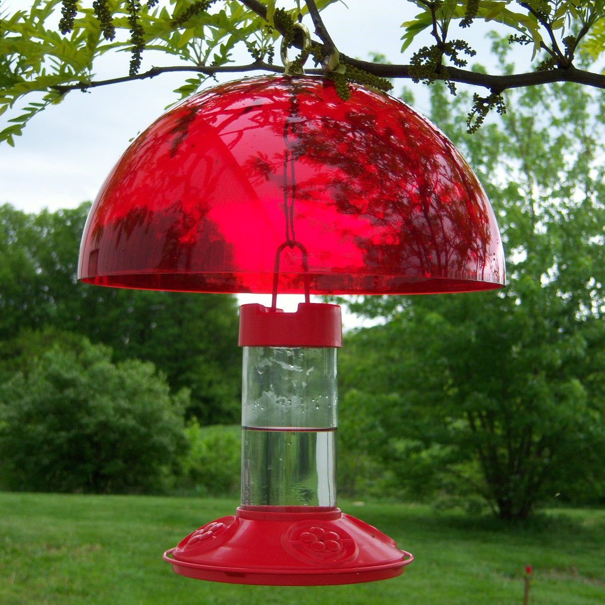 Red Hummer Helper Hummingbird Helmet Dome Baffle 12 IN — Birdertown