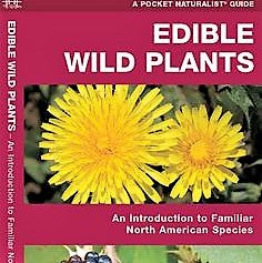 Edible Wild Plants Guide — Birdertown