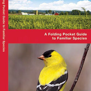 Iowa Birds Pocket Guide — Birdertown