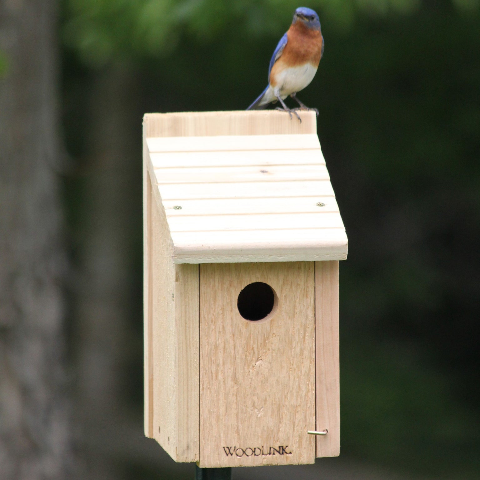 Bird Houses for Sale | View Our Selection of Beautiful Outdoor ...