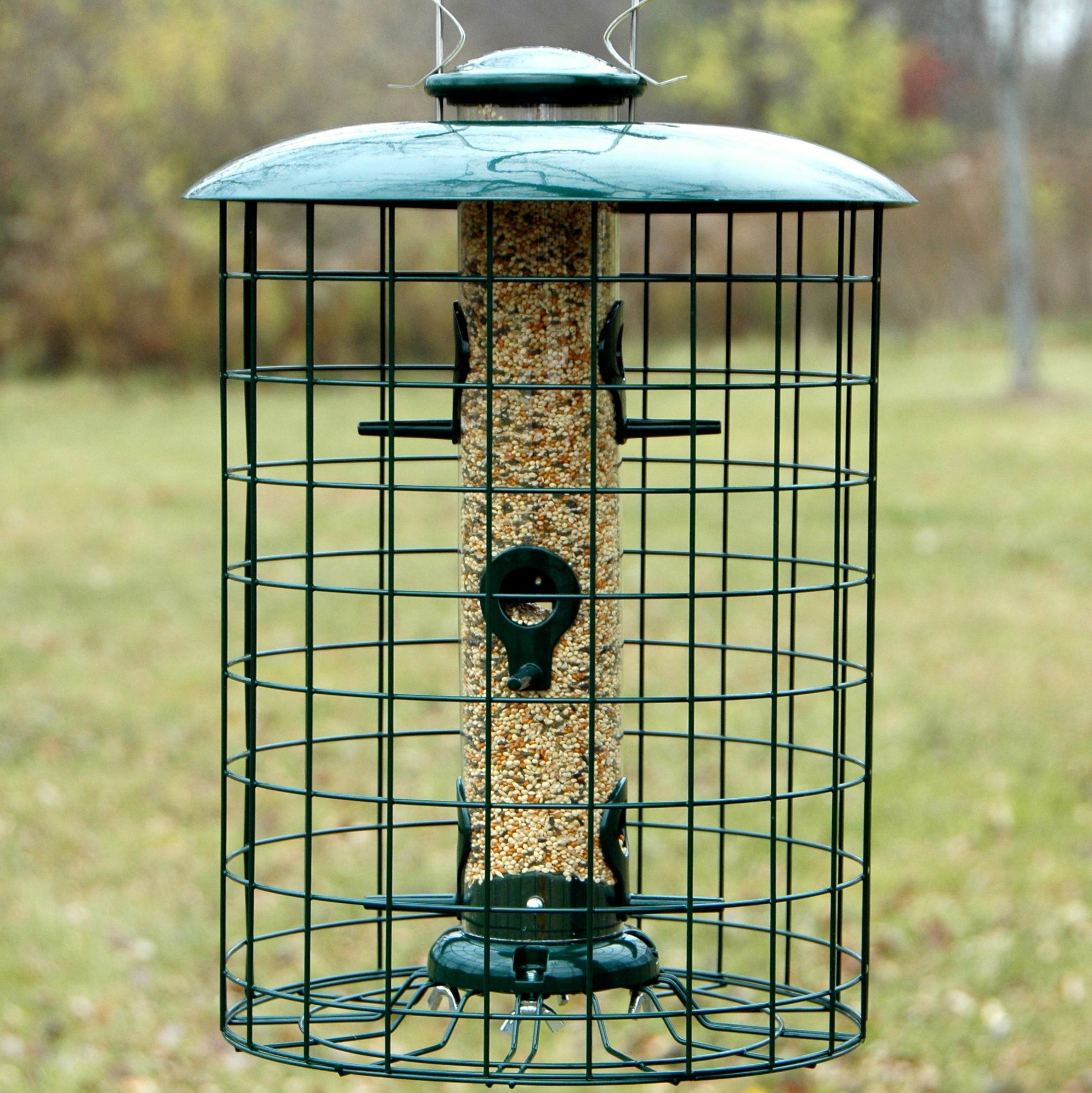 Backyard Birding Store | Shop Backyard Bird & Wild Bird Products ...