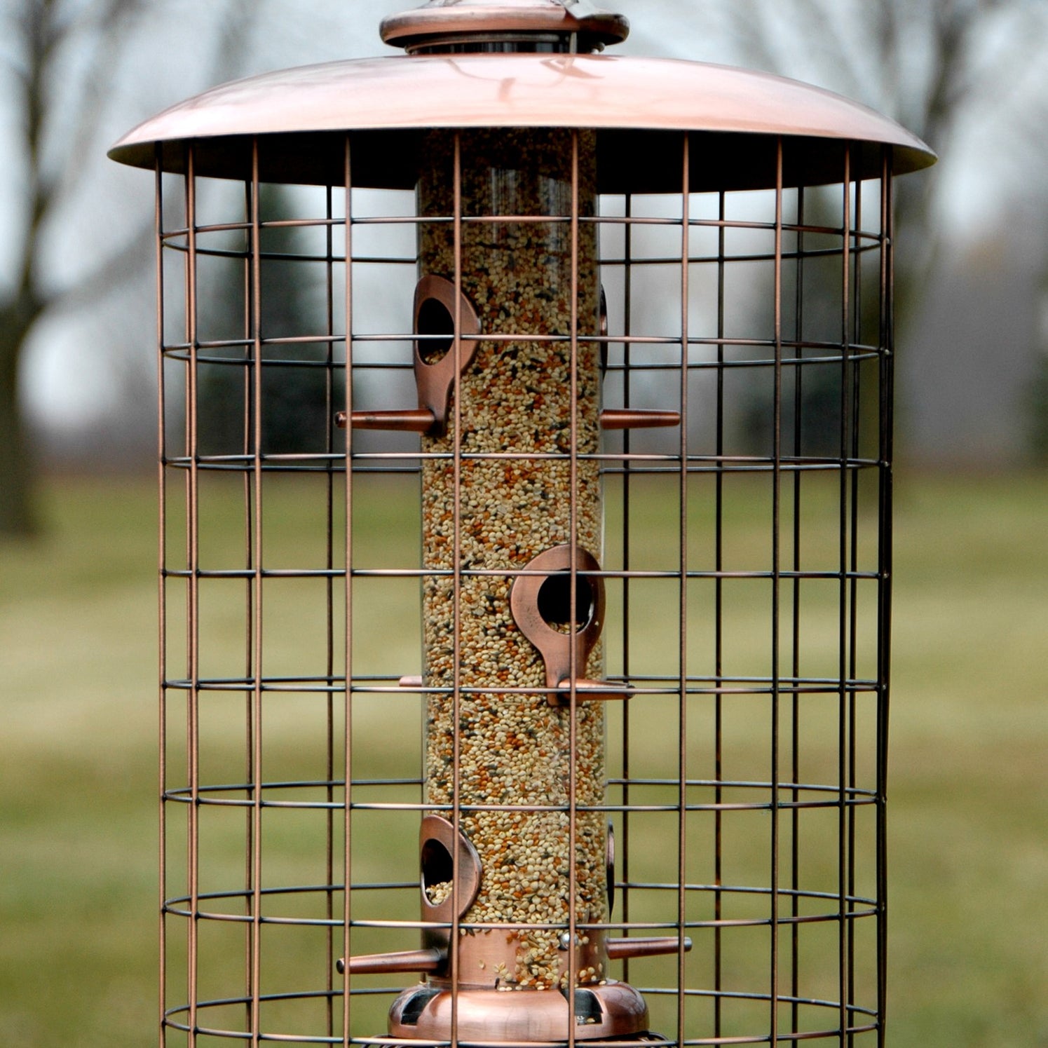 Backyard Birding Store | Shop Backyard Bird & Wild Bird Products ...